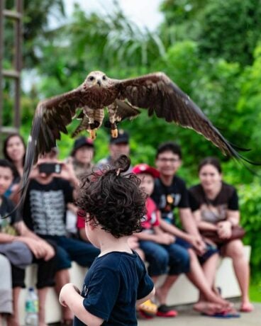 Bali Zoo: Located Near Ubud With Free-Roaming Wildlife