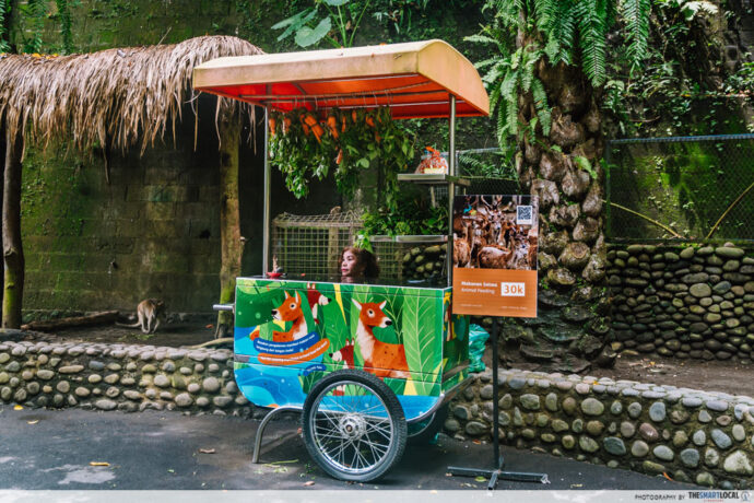 Bali Zoo: Located Near Ubud With Free-Roaming Wildlife