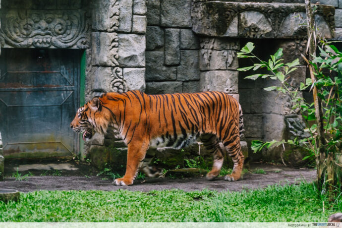 Bali Zoo: Located Near Ubud With Free-Roaming Wildlife