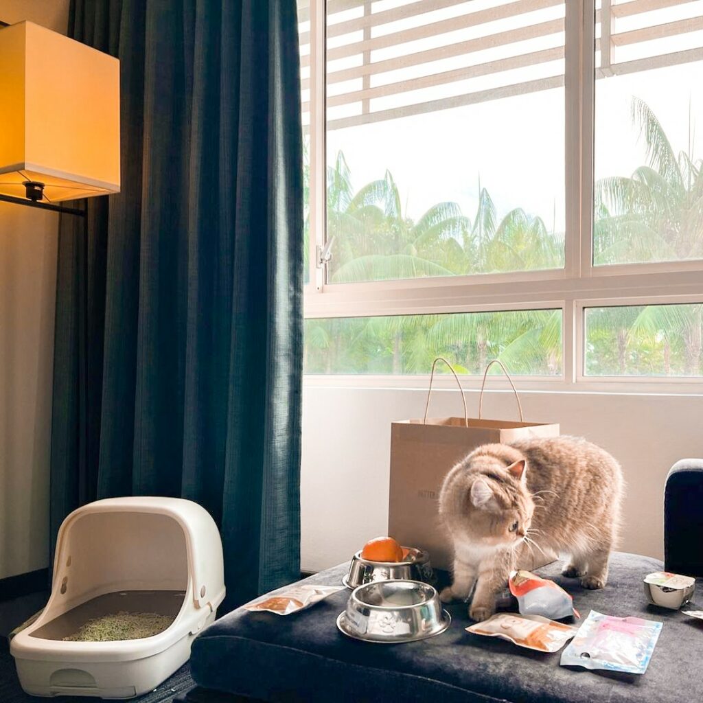 10 Best Singapore Hotels With The Coolest Amenities & Services