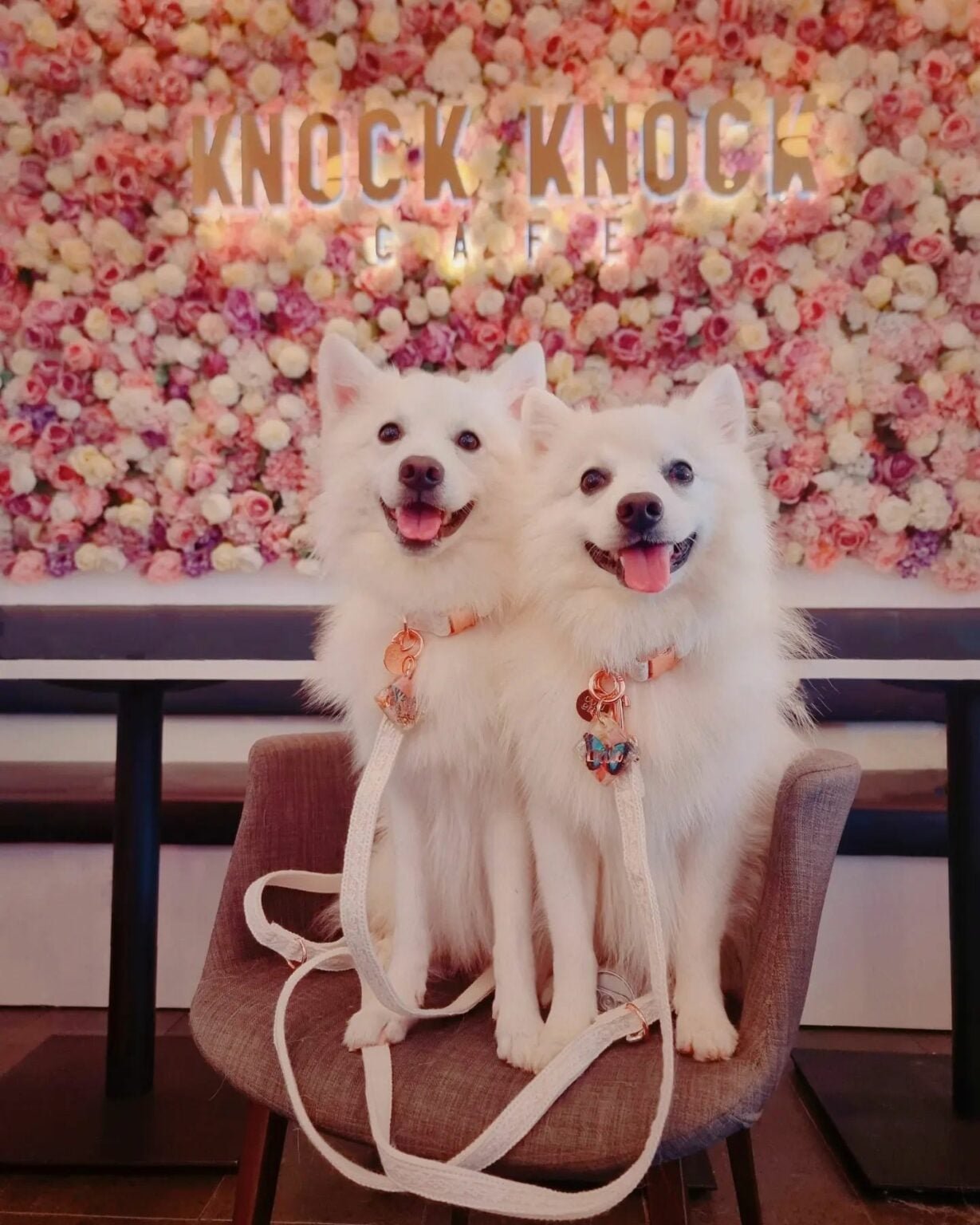 8 Prettiest Pink Cafes & Restaurants In Singapore