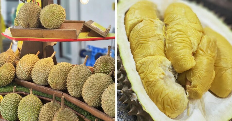 11 Durian Stalls In Singapore For Mao Shan Wang