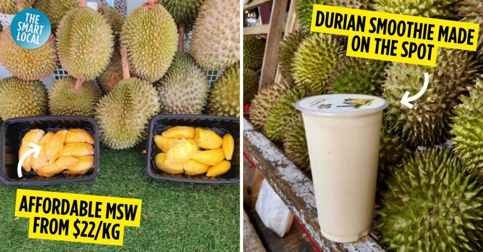 11 Durian Stalls In Singapore For Mao Shan Wang