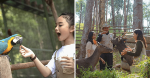 9 Kid-Friendly Things To Do In Batam For Families (2024)