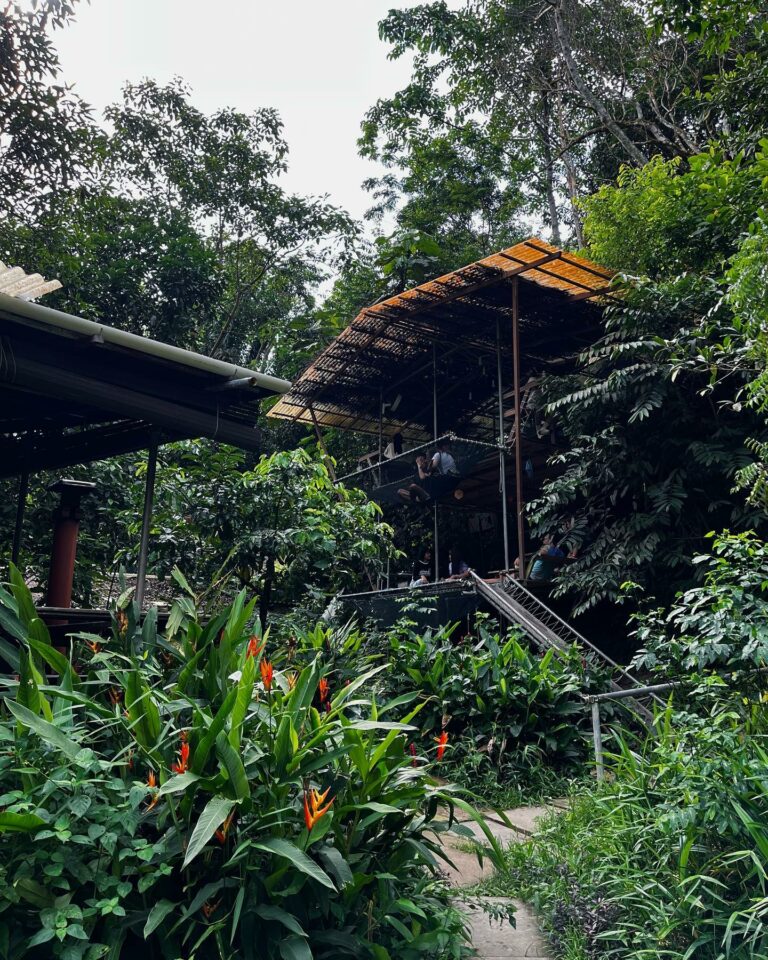 11 Nature-Themed Cafes Near JB Checkpoint, Under An Hour From SG