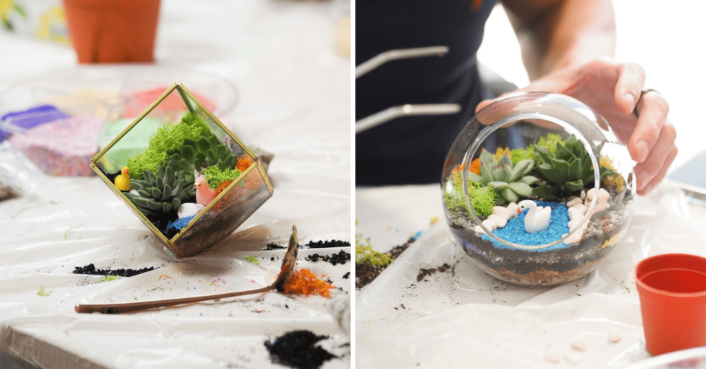 9 Terrarium Workshops In Singapore For DIY Mini Gardens