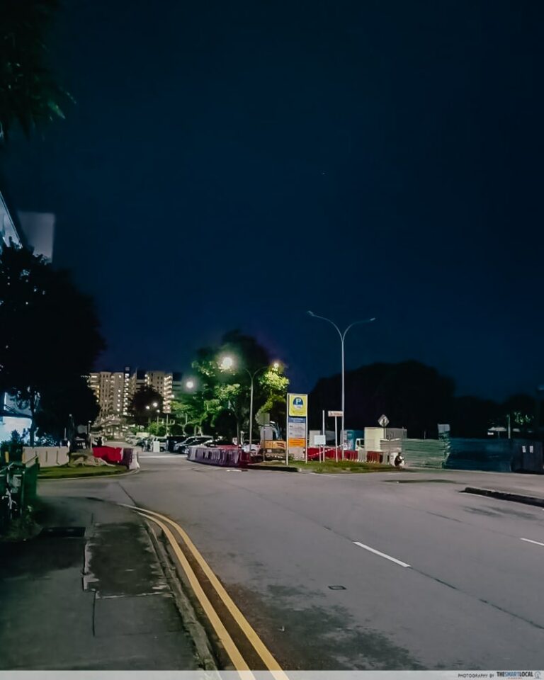 I Visited The Toa Payoh Vegetable Night Market Before It Closed Down