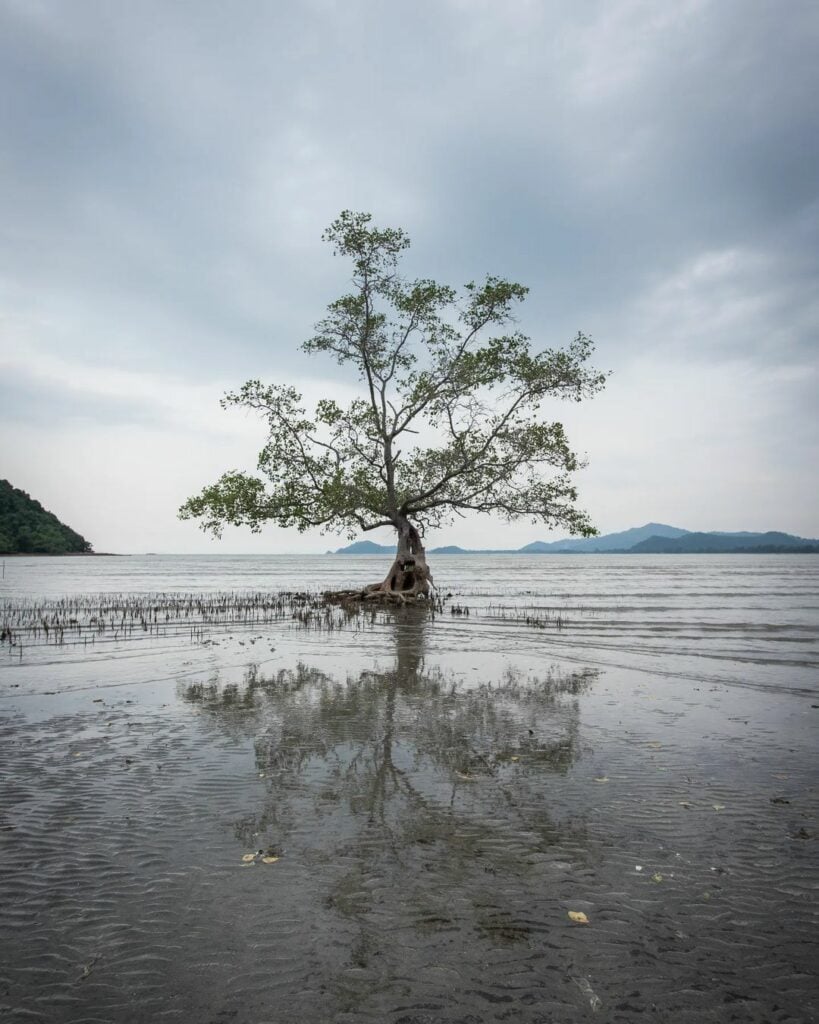 Pulau Mawar: Secret Island Less Than 3 Hours From SG