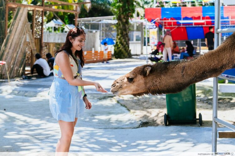 Desaru Mini Zoo - Kid-Friendly Petting Zoo Near Singapore