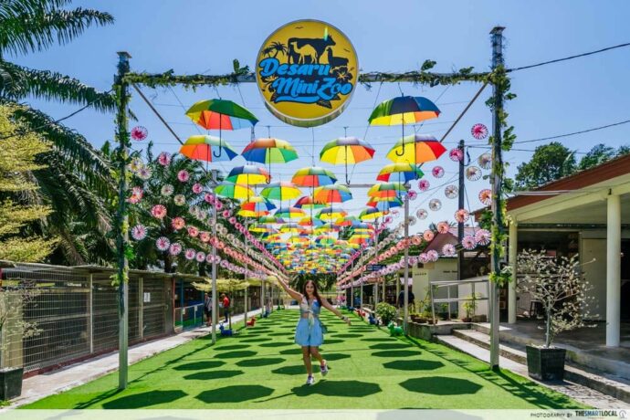 8 Things To Do In Pengerang, Johor - Mini Petting Zoo & Bamboo Forest