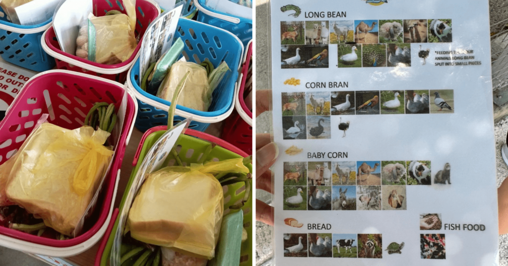 Desaru Mini Zoo - Kid-Friendly Petting Zoo Near Singapore