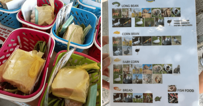 Desaru Mini Zoo - Kid-Friendly Petting Zoo Near Singapore