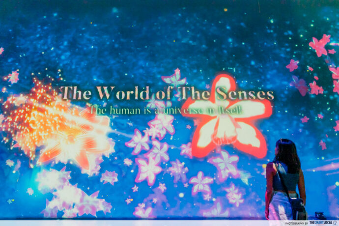 Trans Studio Bali: Indoor Theme Park In Seminyak