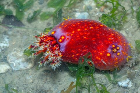 Changi Beach Park: Things To Do For A Relaxing Seaside Day Out