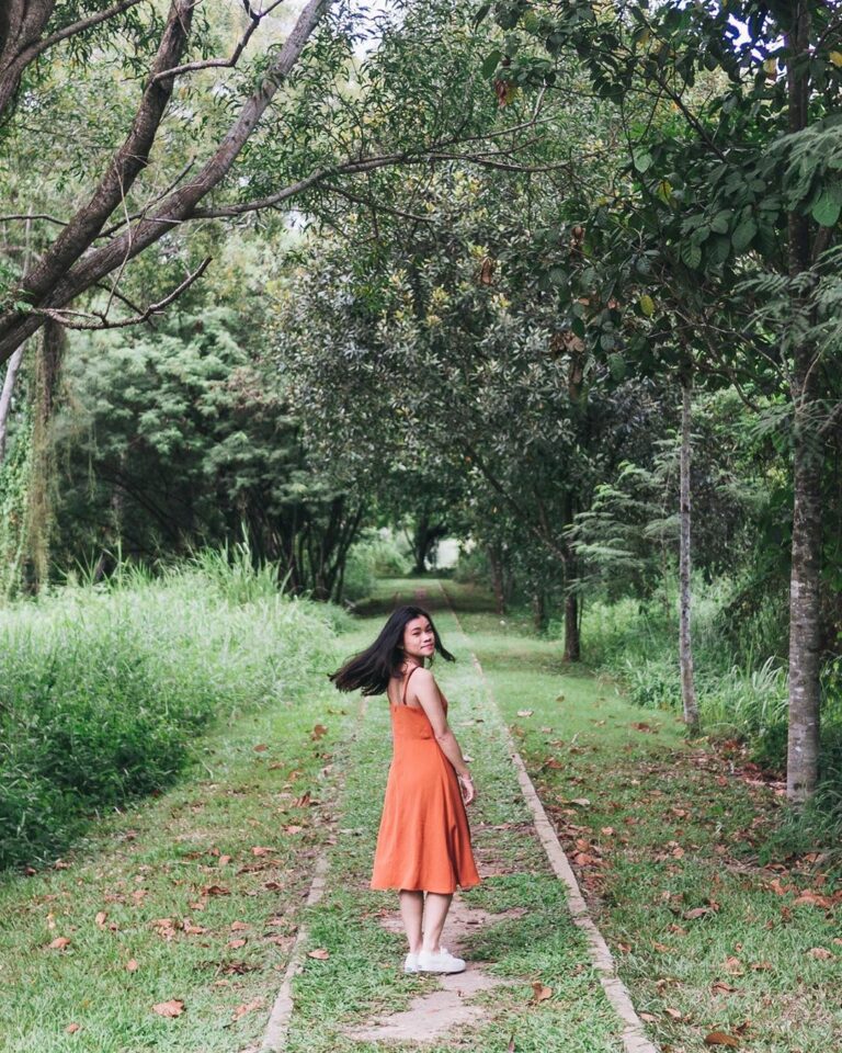 Tampines Eco Green: An Untouched Spot Of Nature