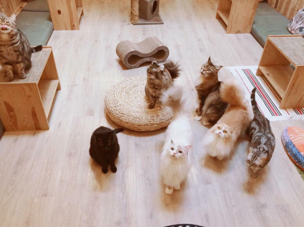 10 Things To Do In Bugis For Group Outings