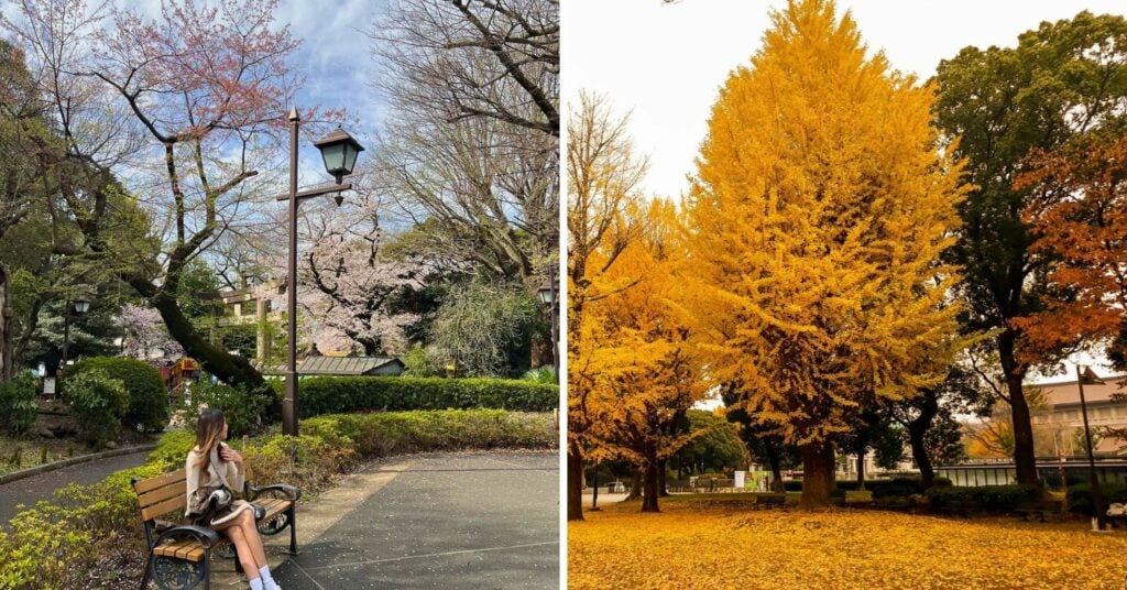 8 Best Scenic Walking Trails In & Around Tokyo [2025 Guide]