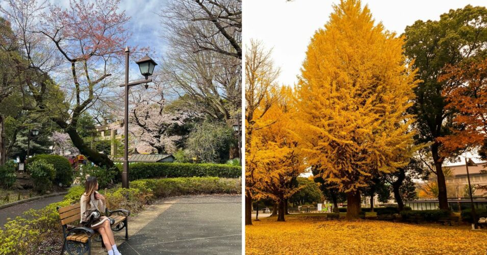 8 Best Scenic Walking Trails In & Around Tokyo [2025 Guide]