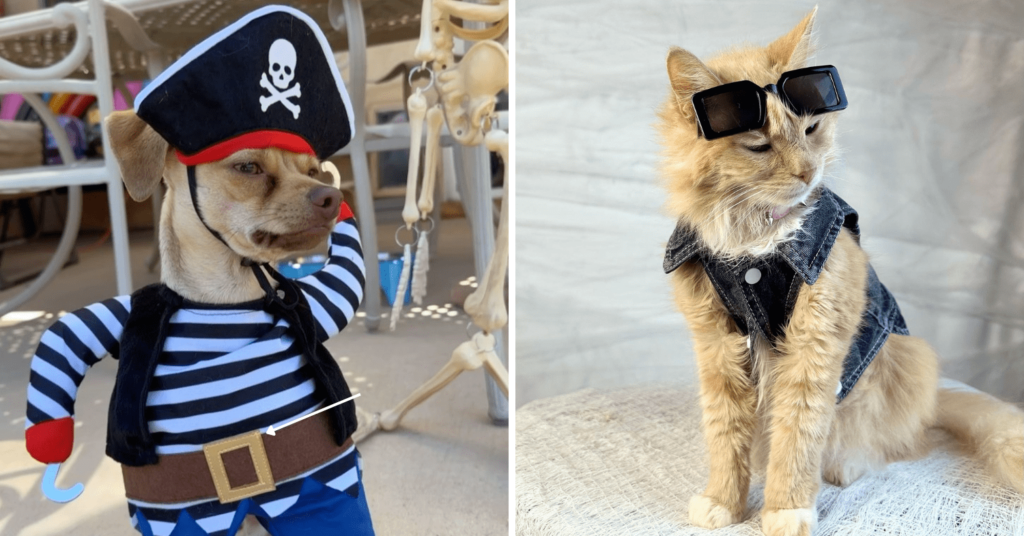Nautical Paw-ty @ Northshore Plaza - Pet-Friendly Event This November
