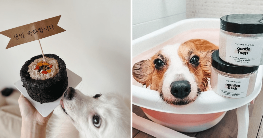 Nautical Paw-ty @ Northshore Plaza - Pet-Friendly Event This November