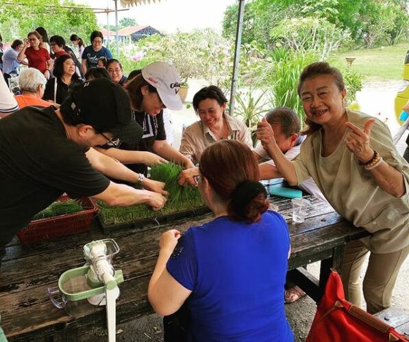 Kin Yan Farm: SG’s Largest Mushroom Farm