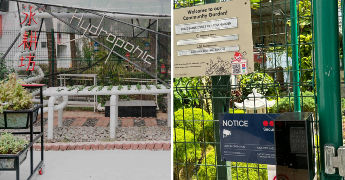 Bukit Batok Has A Community Garden That’s A Mini GBTB