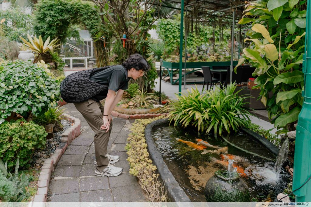 Bukit Batok Has A Community Garden That’s A Mini GBTB