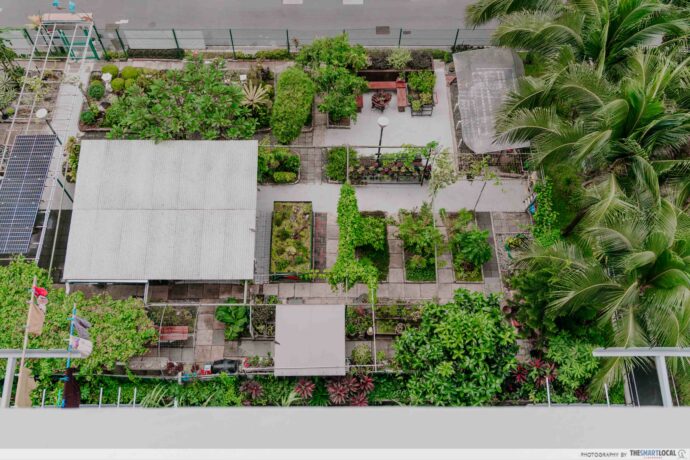 Bukit Batok Has A Community Garden That’s A Mini GBTB