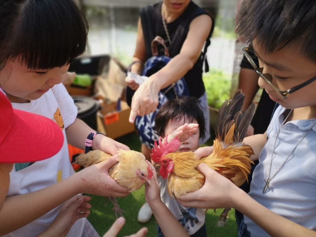 City Sprouts Is An Urban Farm Hidden In An Old Secondary School