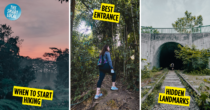 Clementi Forest Guide - How To Get There And Hiking Tips