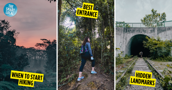 Clementi Forest Guide - How To Get There And Hiking Tips