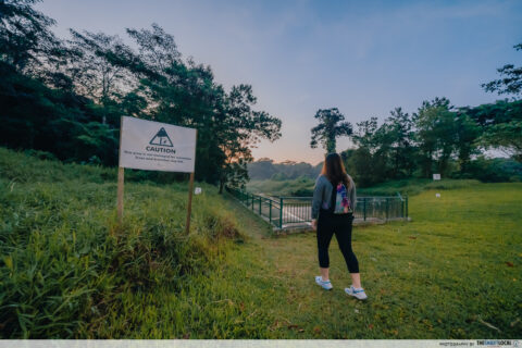 Clementi Forest Guide - How To Get There And Hiking Tips