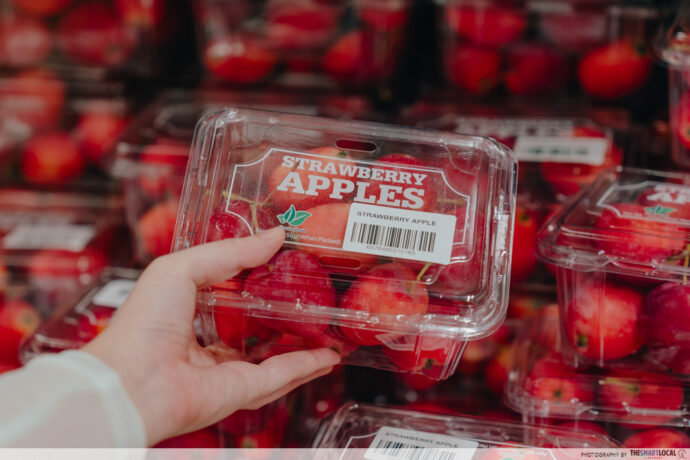 Far East Flora Centre: New 11-Storey Mall Selling Plants & Flowers