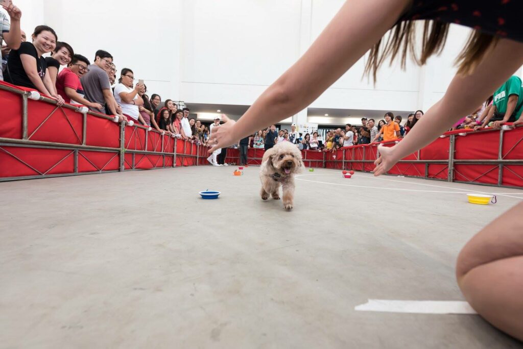 Funan & CQ @ Clarke Quay Have Halloween Activities This October