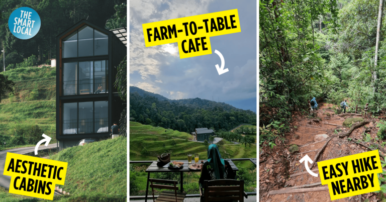 Talula Hill Farm Resort: Hidden Stay In Johor 1.5H Drive From SG
