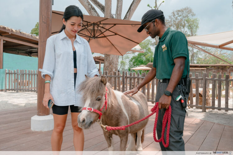 KidzWorld @ Singapore Zoo Reopens With Petting Zoos & Water Maze