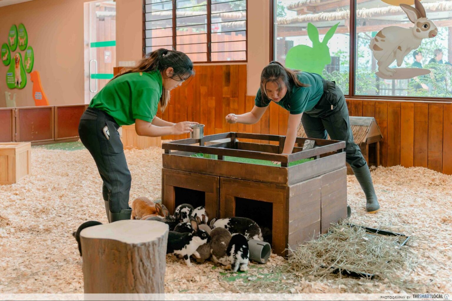 KidzWorld @ Singapore Zoo Reopens With Petting Zoos & Water Maze