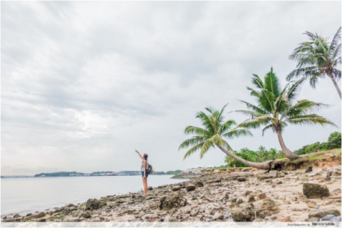Pasir Ris Park: Coastal Park With Maze & Playground (2024)