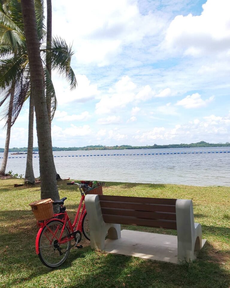 Pasir Ris Park: Coastal Park With Maze & Playground (2024)