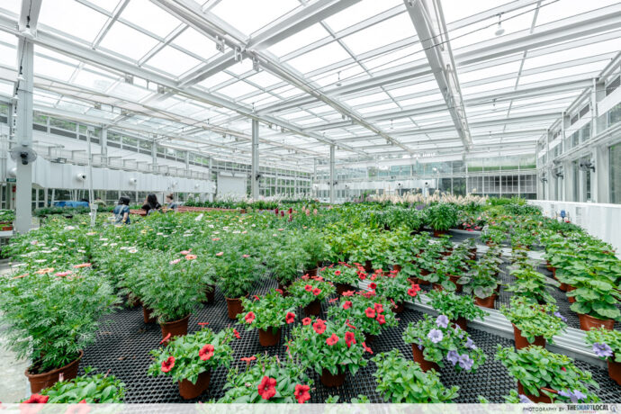 An Inside Look At Gardens By The Bay
