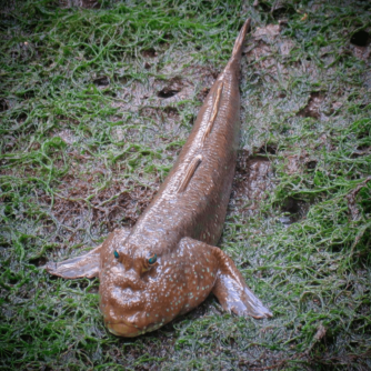 Labrador Park: Opening Hours & How To Get To There