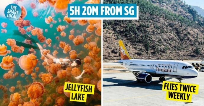 Direct Flights From Singapore To Palau Via Alii Palau Airlines