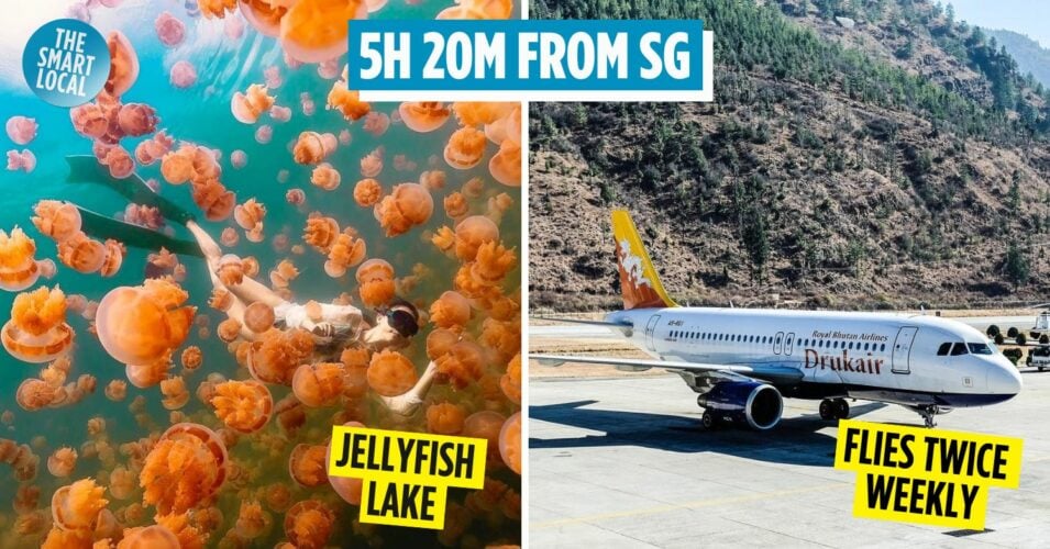 Direct Flights From Singapore To Palau Via Alii Palau Airlines
