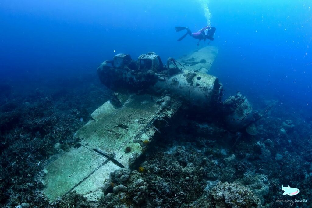 Direct Flights From Singapore To Palau Via Alii Palau Airlines