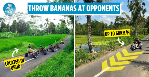 Jungle Cart Bali: IRL "Mario Kart" Near Ubud