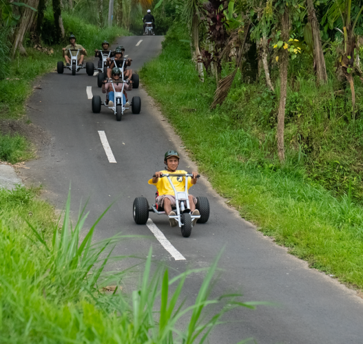 Jungle Cart Bali: IRL "Mario Kart" Near Ubud