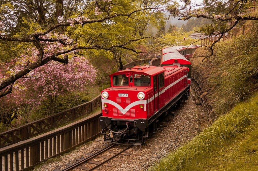 8 Springtime Destinations Near SG To Frolic In Flower Fields