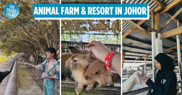 UK Farm Agro Resort: Johor Farm Has Animal Feeding & Chalets