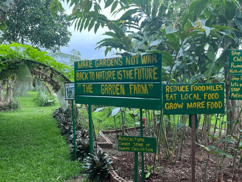 Urban Farms In Singapore For Locally-Grown Vegetables Of High Quality