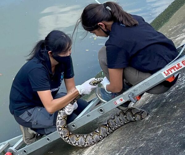 Emergency Hotlines In Singapore You Need To Know